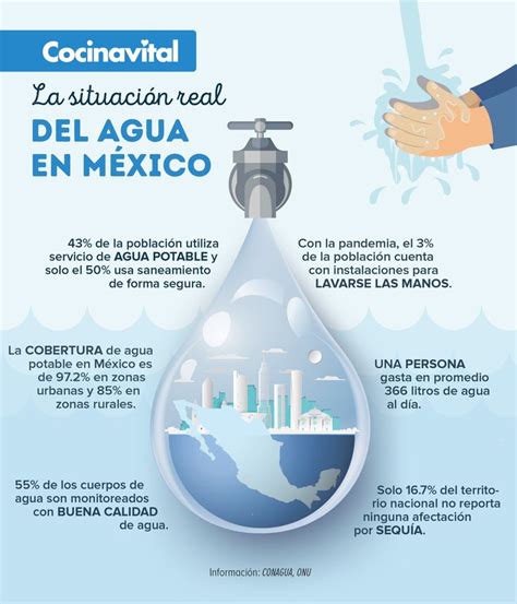 10 tips para ahorrar agua en casa Cocina Vital Recetas fáciles
