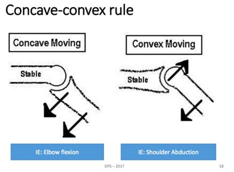 INTRODUCTION TO KINESIOLOGY Flashcards Quizlet
