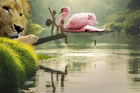 Manip Lasyon Nedir Photoshop Manip Lasyon Teknikleri Nelerdir Yolabak