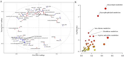Comparative Analysis Between Transcriptome And Metabolome Data A