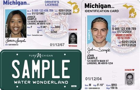New Michigan Drivers License Plate Design Coming In 2024 Metro