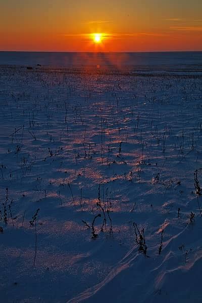 Flint Hills Photography Mickey Shannon Photography