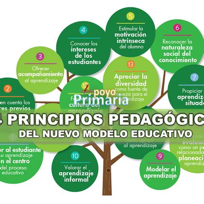 Papel Del Docente En El Nuevo Modelo Educativo Nepora