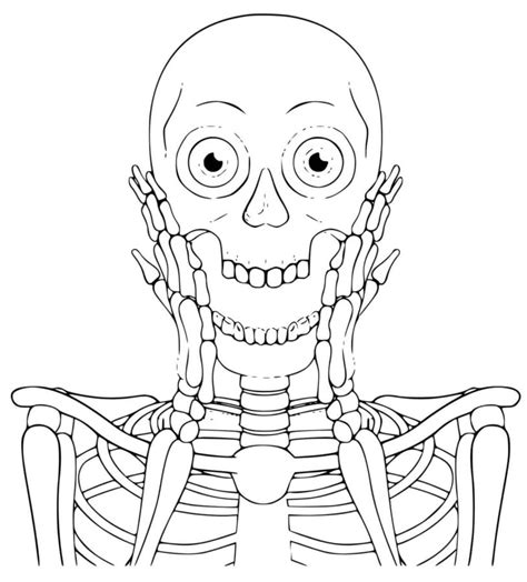 Dibujos De Esqueletos Para Colorear Dibujo Im Genes