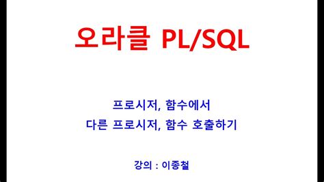 PL SQL 프로시저 함수에서 다른 Procedure Function 호출 동적SQL EXECUTE IMMEDIATE