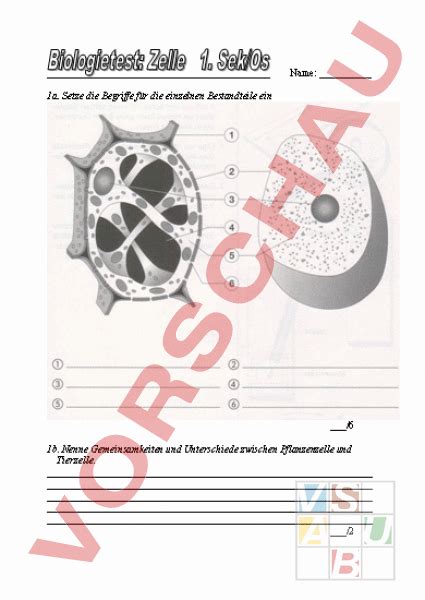 Arbeitsblatt Test Zellen Biologie Zellbiologie Cytologie