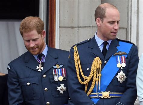 Royal Altercation Prince William Lunged And Grabbed Prince Harry In