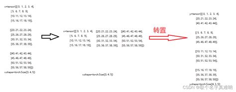 pytorch permute可视化 x x permute 0 2 1 csdn博客