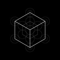 Sacred Geometry Symbol Metatrons Cube On Black Vector Image