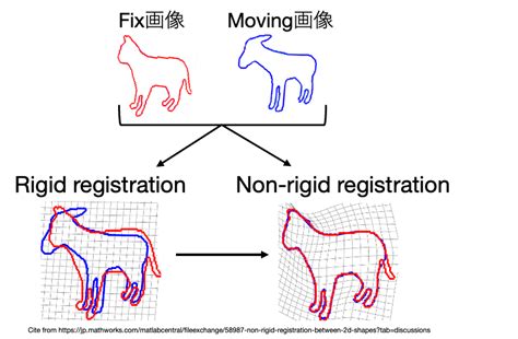 病理画像のためのnon rigid registration modelの開発 preferred networks research and development