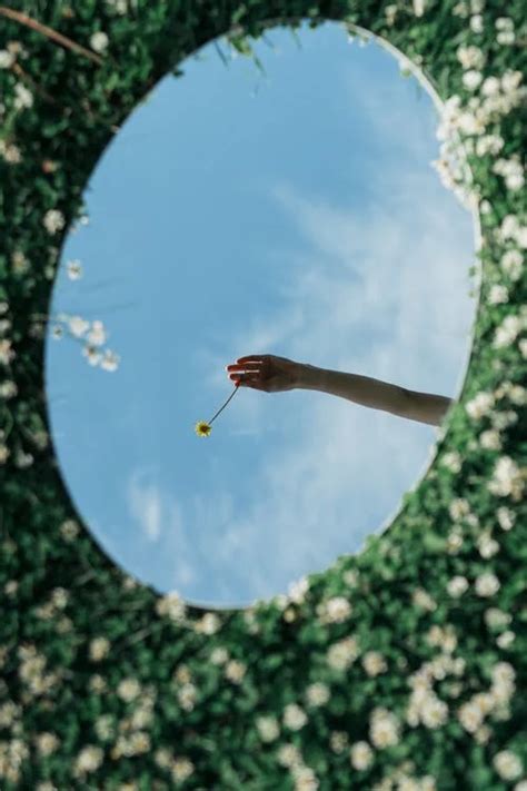 Shape Photography Everything You Need To Know NFI