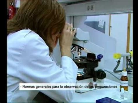 Técnicas Básicas en el Laboratorio de Microbiología Microscopio Óptico