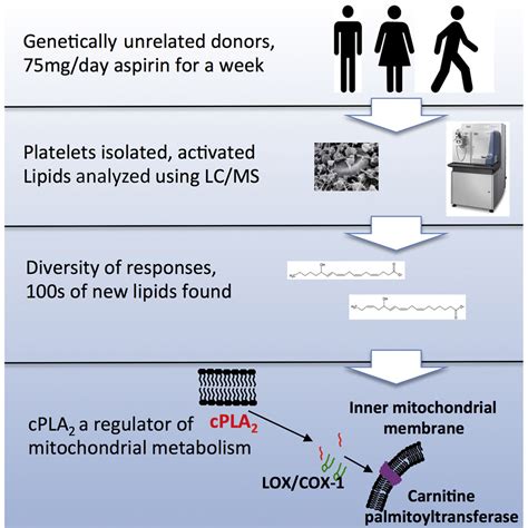 Mapping The Human Platelet Lipidome Reveals Cytosolic Phospholipase A2