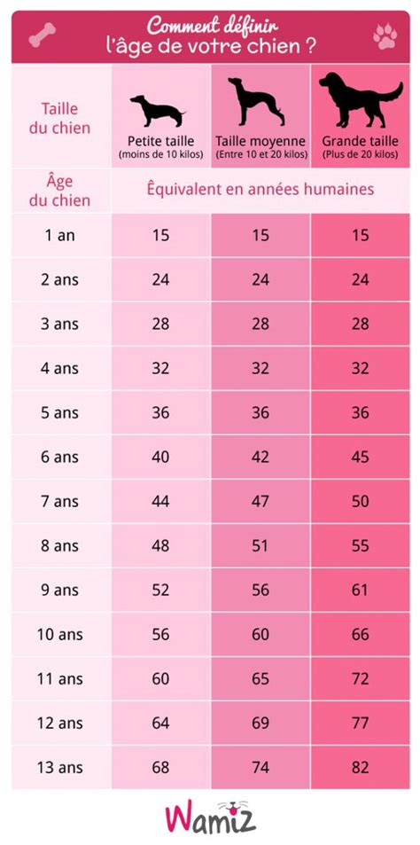 comment définir l âge de votre chien