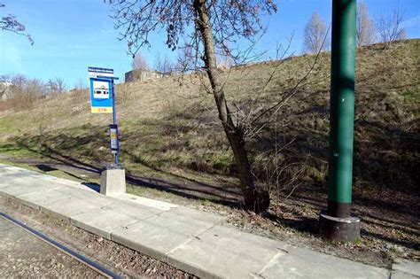 Więcej terenów zieleni Sozosfera ochrona środowiska