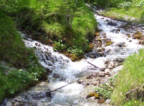 Public Homepage Cow Creek Band Of Umpqua Tribe Of Indians