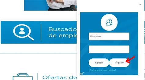 Como Ingresar Registrar O Actualizar Hoja De Vida Red Socio Empleo 2024
