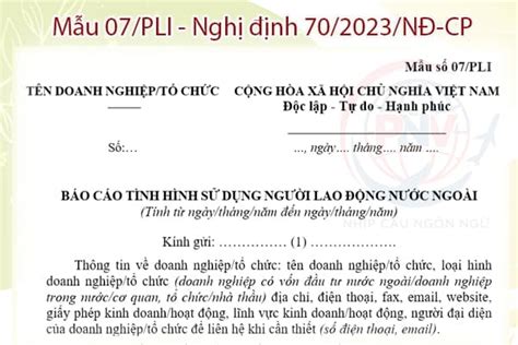 Mẫu số 07 PLI năm 2023 Báo cáo tình hình sử dụng người LĐNN