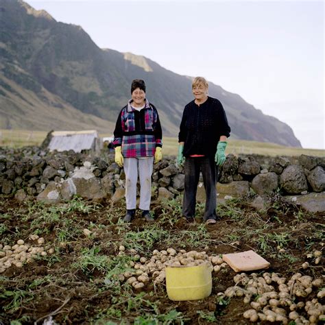 Jon Tonks Tristan Da Cunha Sylvia Green Rose Glass The Potato