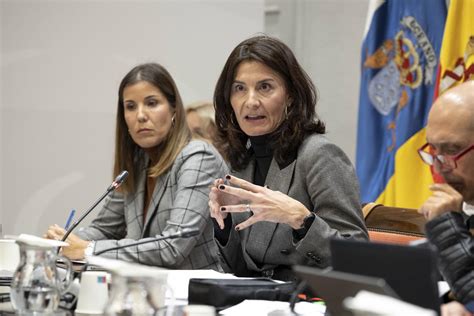 La Directora De La Agencia Tributaria Canaria Dice Que Son Visibles Los