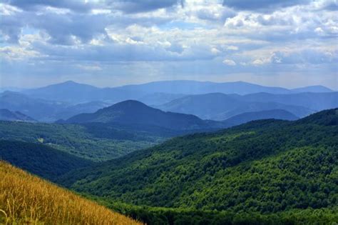Free Images Landscape Tree Nature Forest Grass Horizon