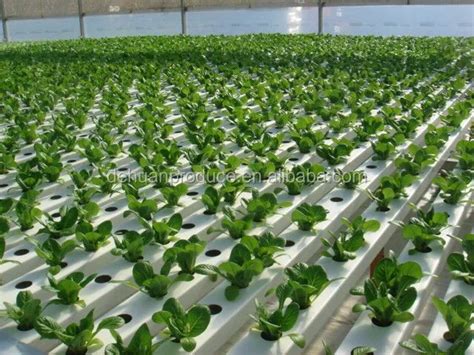 Hidroponia En Tubos De Cultivo Hidropónico De Pvc Tubo Cuadrado De