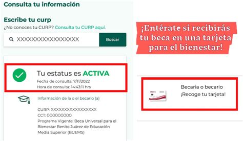 Atención averigua si recibirás tu Beca Benito Juárez 2023 en la