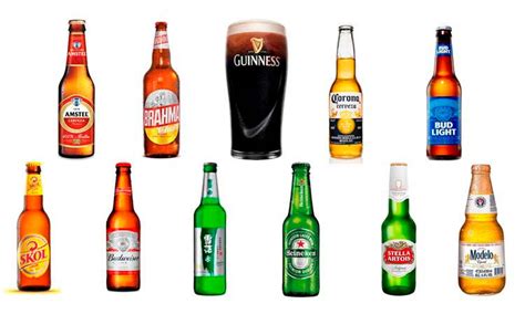 Conoce los dos tipos de cerveza más populares cervezapasion
