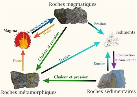 Diagram Of Les 3 Types De Roches Quizlet