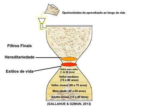 Treino F Como aprendemos movimentos Uma introdução ao Desenvolvimento