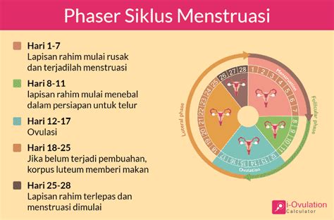 Kalkulator Kehamilan Cara Menghitung Masa Subur