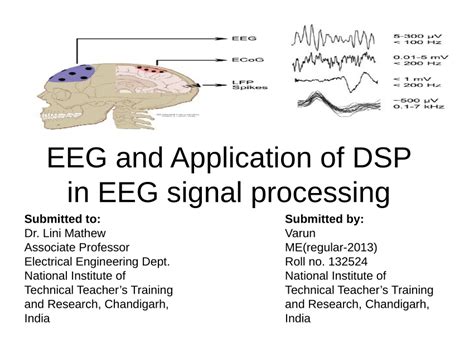pdf eeg and application of digital signal processing in eeg signal processing