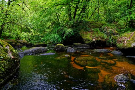 La mare aux fées forêt de Huelgoat Patrice Dardoize Flickr