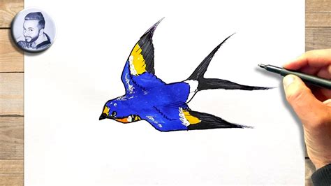Comment Dessiner Une Hirondelle Facilement YouTube