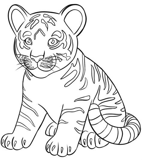 Desenhos De Tigre Para Colorir Pop Lembrancinhas