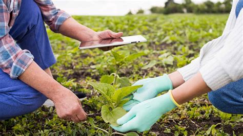 Rotación de cultivos Qué es AGROINGENIA