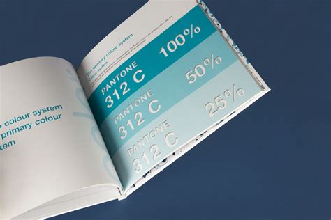 Brandbook DESS Dental Smart Solutions Agpograf Impressors