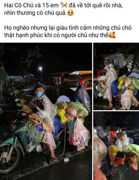 Bộ Sưu Tập Hình Ảnh Giàu Nghèo Cực Chất Full 4K Với Hơn 999 Tấm Hình