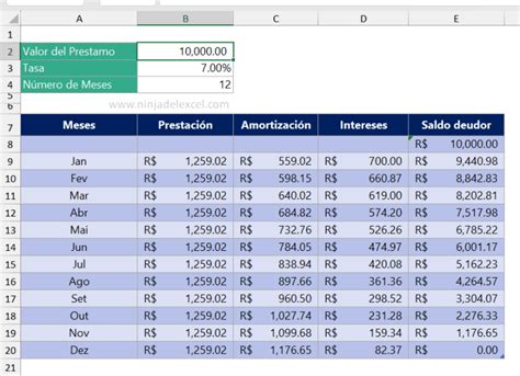 Planilla de Amortización de Préstamos en Excel Ninja del Excel