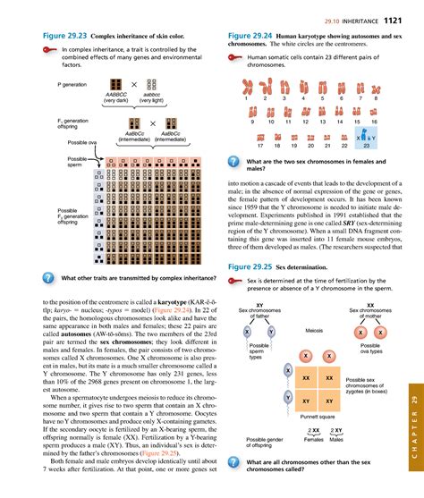 Anatomy Physiology C H A P T E R Inheritance Into