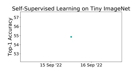 Tiny Imagenet Benchmark Self Supervised Learning Papers With Code