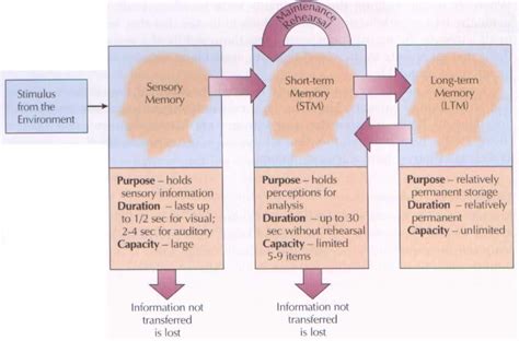 three stages of memory slide share