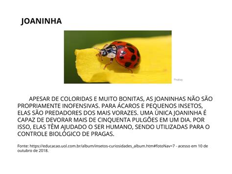 Leitura Colaborativa De Textos Expositivos Planos De Aula Ano