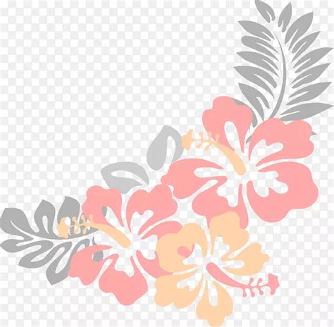 Png Png