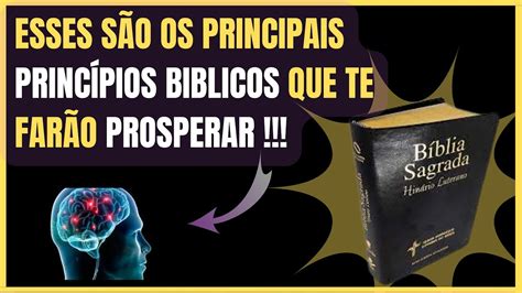 CONHEÇA OS PRINCÍPIOS BIBLICOS PARA A PROSPERIDADE SAIBA COMO