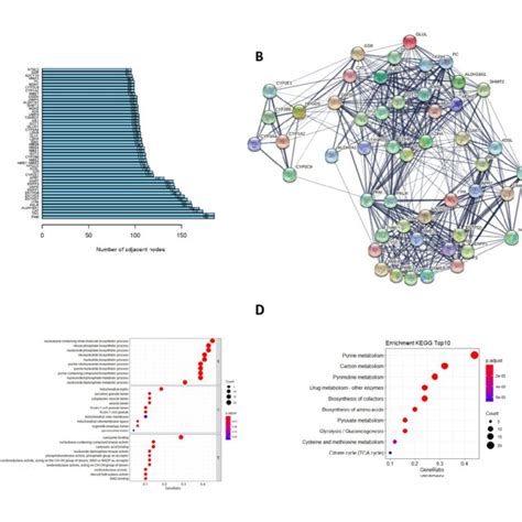 Screening For Metabolism Related Genes And Gene Functional Enrichment