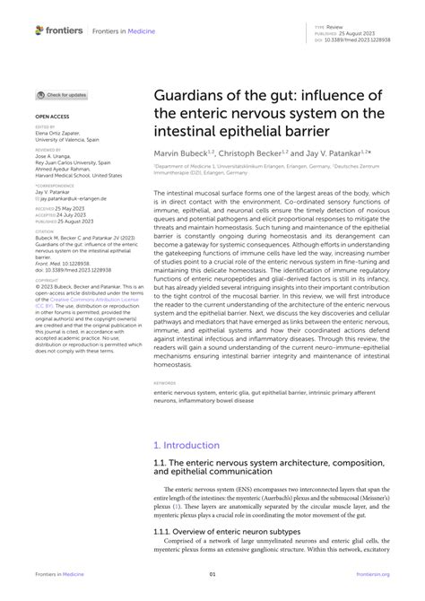 PDF Guardians Of The Gut Influence Of The Enteric Nervous System On