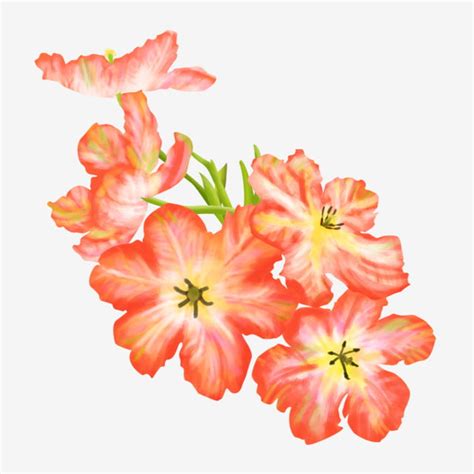 Grass Flower Png Transparent Natural Flower Grass Flowers Safflower