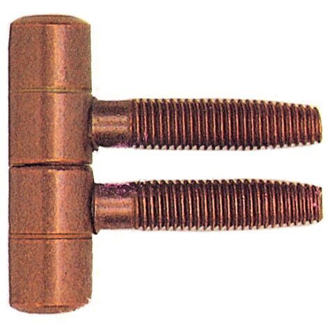 Anube Acier Bronze 16 Mm 2 Pcs Male Femelle Charnie Res Pour Bois