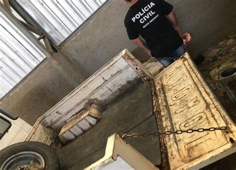 Pol铆cia encontra fazenda onde on莽as pintadas foram filmadas mortas em